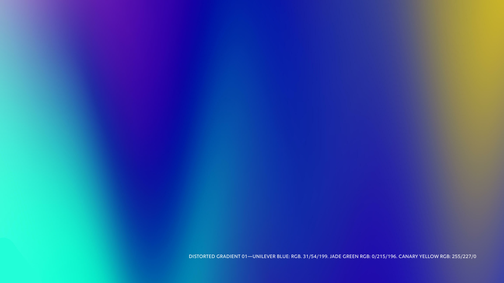 Unilever DMC Brand Identity