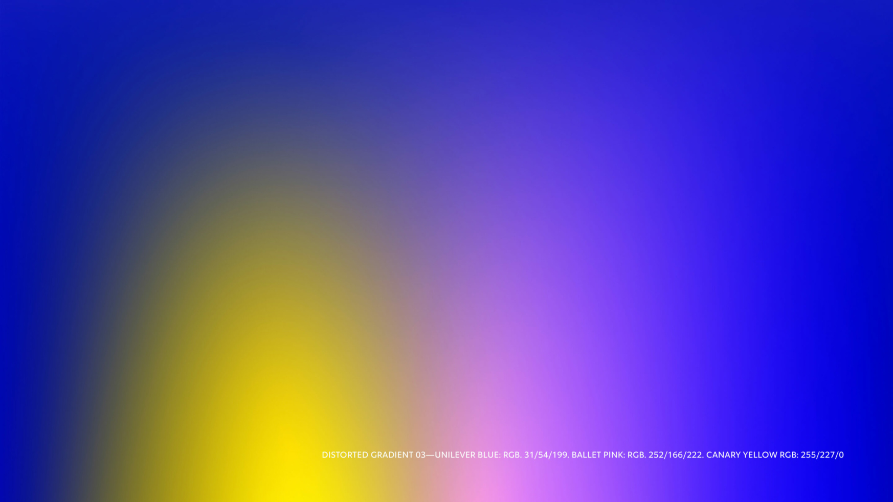 Unilever DMC Brand Identity