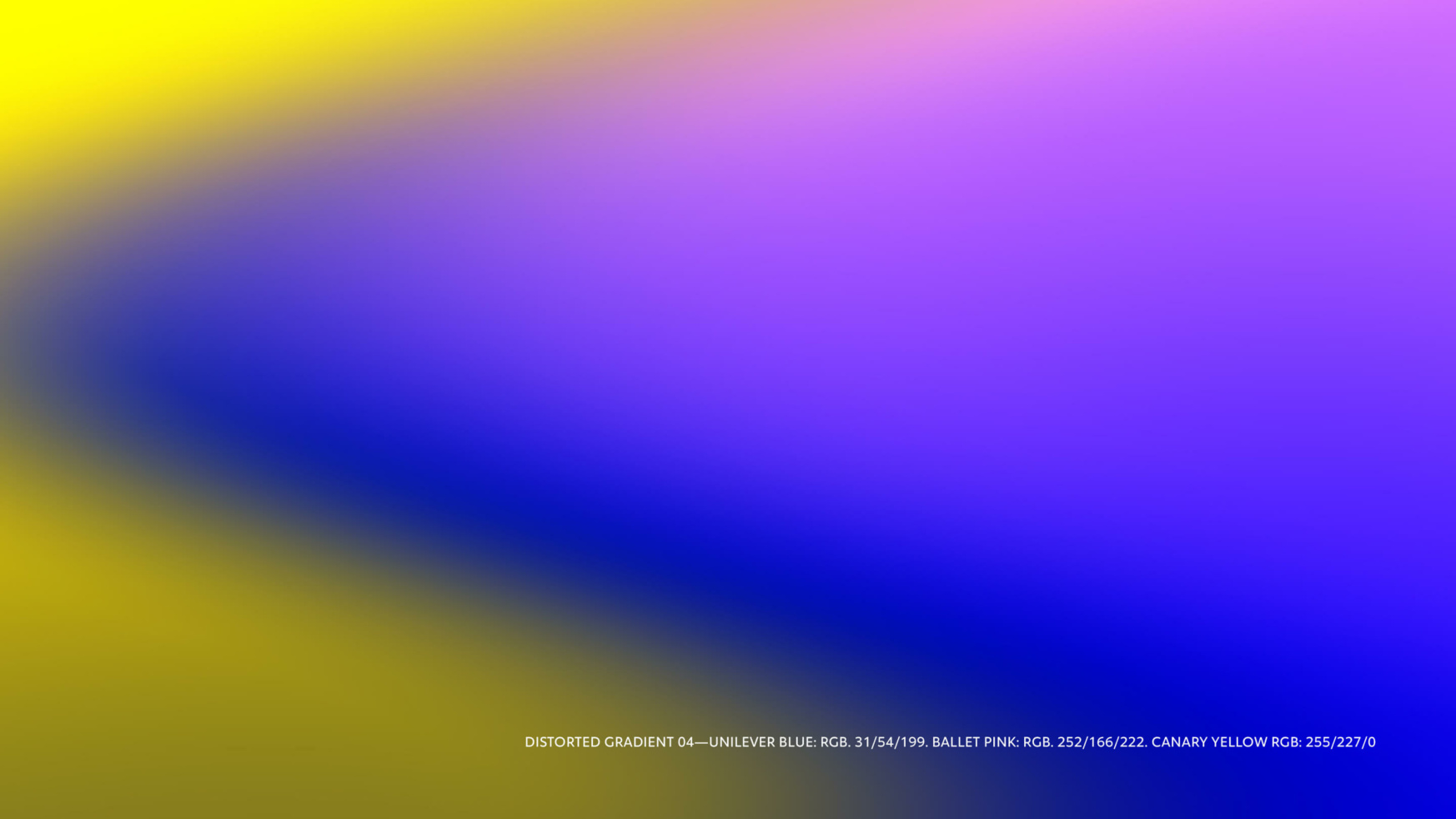 Unilever DMC Brand Identity