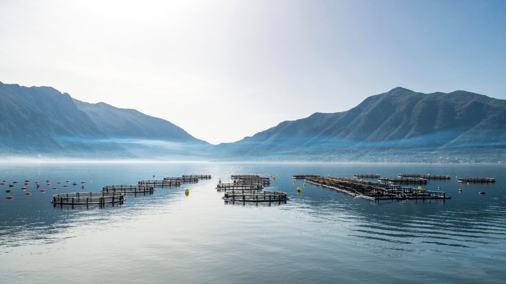 Cargill Brand Revitalisation