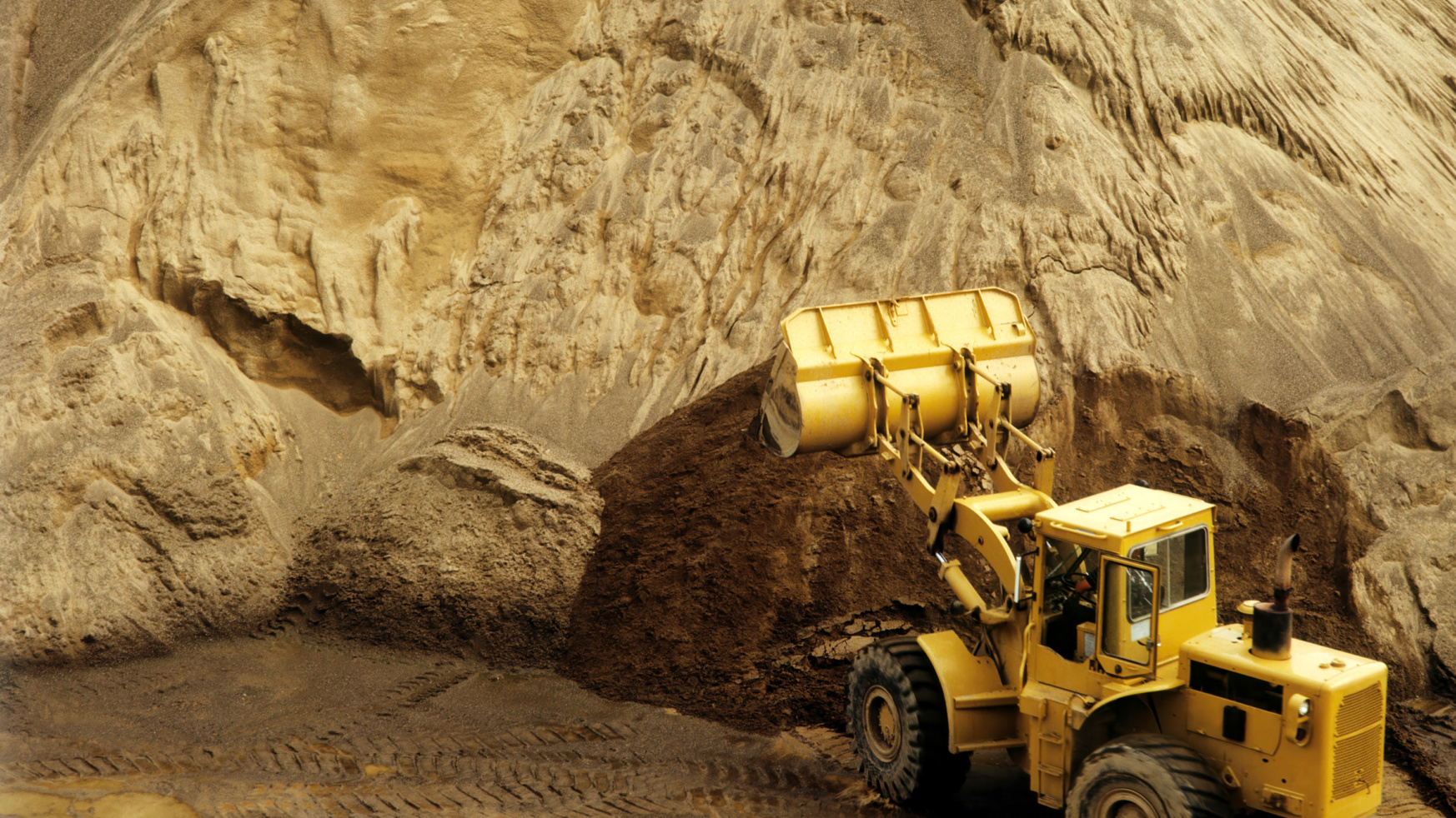 Cargill Brand Revitalisation