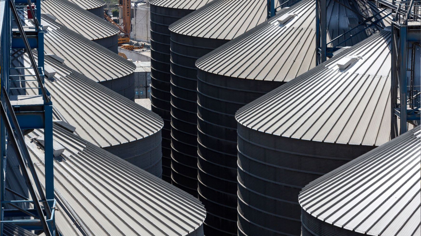 Cargill Brand Revitalisation