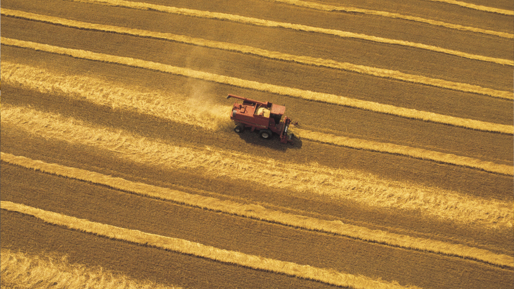 Cargill Brand Revitalisation